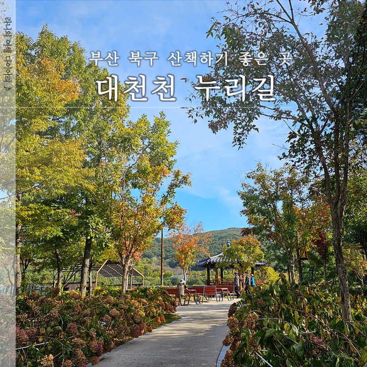 부산 대천천 누리길 산책하기 좋은 화명동 산책로 네이버 블로그