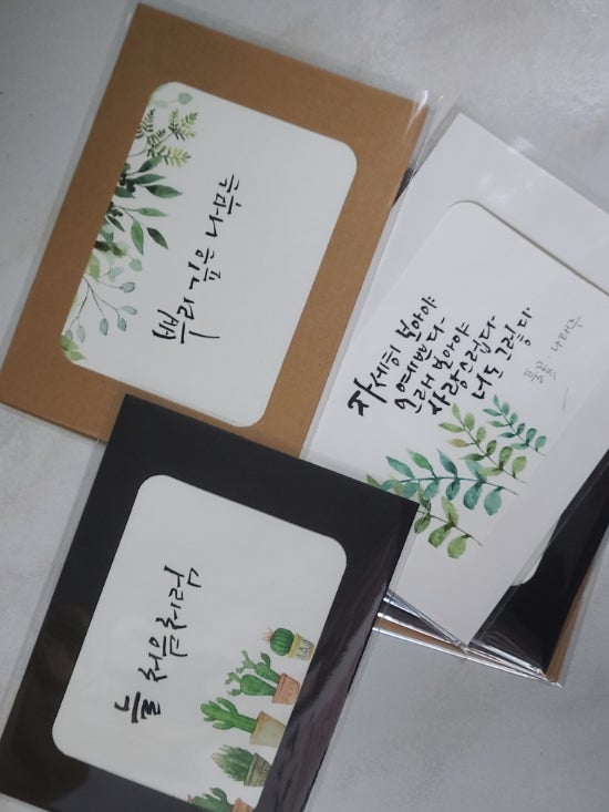 수채 그림 엽서지 규격엽서 캘리그라피 밑재료 밑그림 5장세트 캘리그라피 작업용 캘리행사용 네이버 블로그