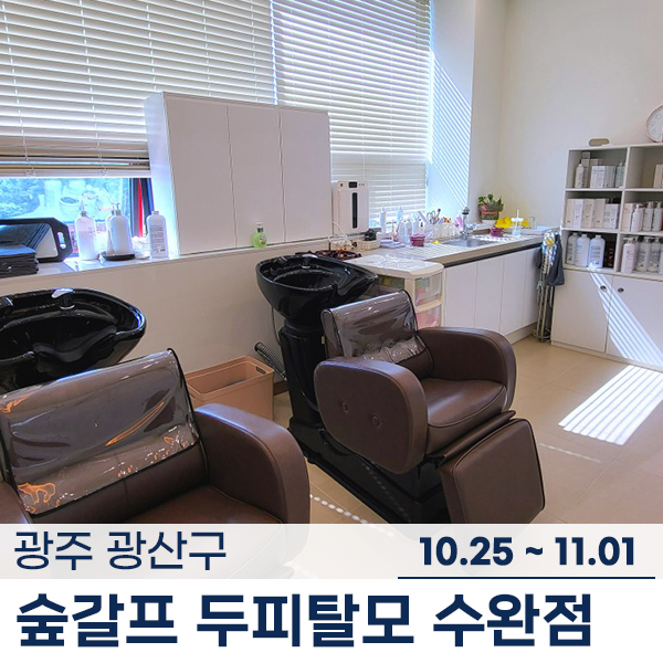 광주광산구 광주 No1 두피 관리 광주탈모 광주두피관리 광주두피 광산구두피 광주미용실 광산구미용실 광주헤어샵