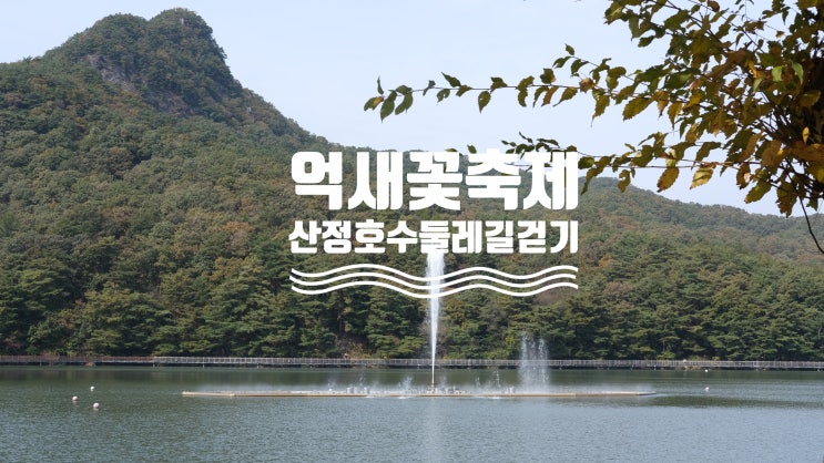 포천 명성산 억새축제 산정호수 둘레길 걷기 네이버 블로그