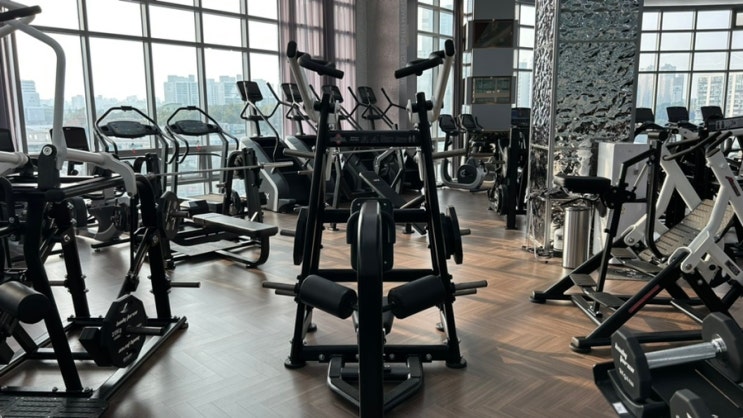 수원 헬스장 추천 여자 등운동 머신 추천 카인드짐 아주대점 네이버 블로그