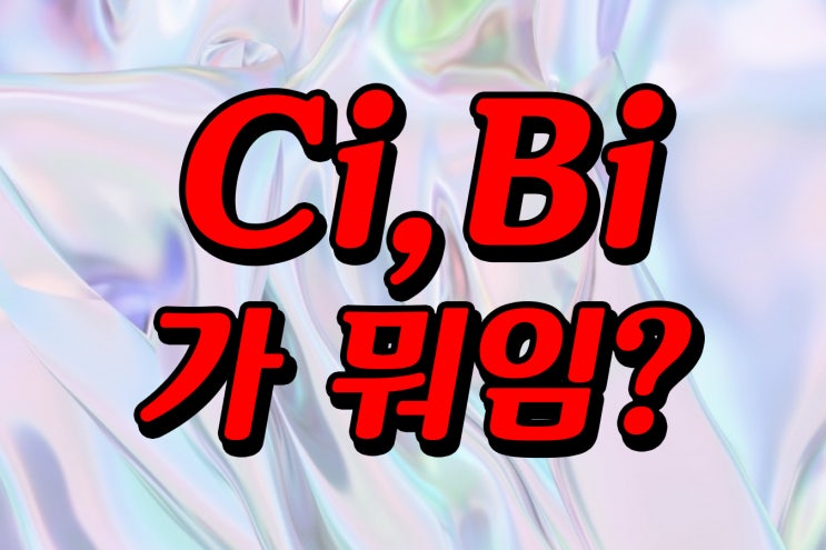 ci bi 뜻 차이점 뭔지 궁금하다면 : 네이버 블로그
