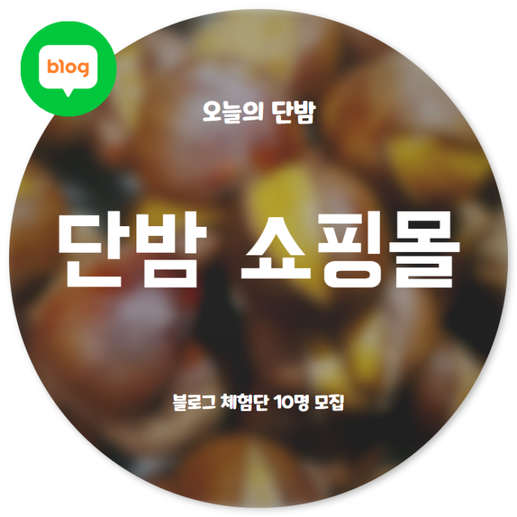 오늘의 배송 먹어보면 압니다 꿀맛 오늘의 단밤 쇼핑몰 리뷰어 모집 네이버 블로그