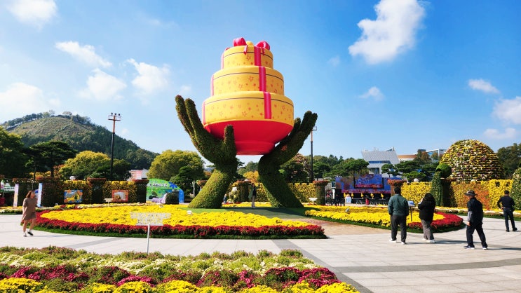 함평 여행 함평 국화축제 엑스포 공원 해름 팜파티긍께 네이버 블로그