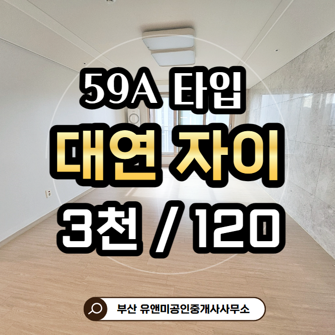대연동 아파트 대연자이 25평 59a타입 월세 3000120 넉넉한 입주기간 네이버 블로그