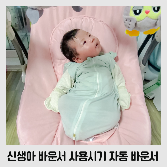 신생아 바운서 사용시기 전동 자동 아기바운서 네이버 블로그