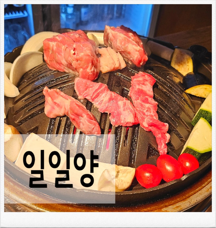 천안 양갈비 맛집 일일양 분위기 좋고 직접 구워줘서 더 맛있는 양고기 네이버 블로그