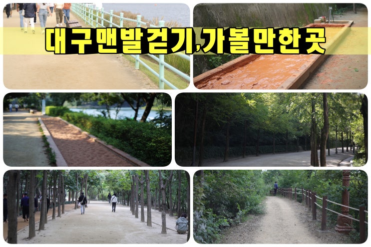 대구 맨발걷기 하기 좋은 곳 명소 동구 달서구 남구 수성구 중구 네이버 블로그