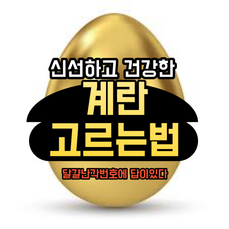 신선하고건강한 달걀고르는법 계란에 찍혀있는 번호로알수있다 네이버 블로그