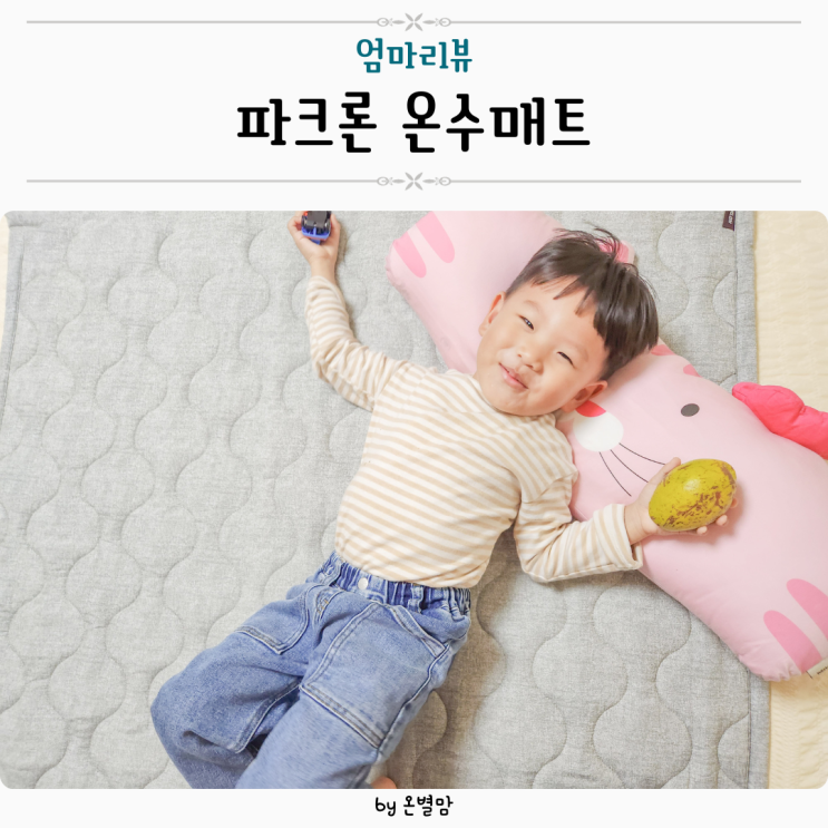 온수매트 파크론 비교 워셔블 카본매트 후기 네이버 블로그