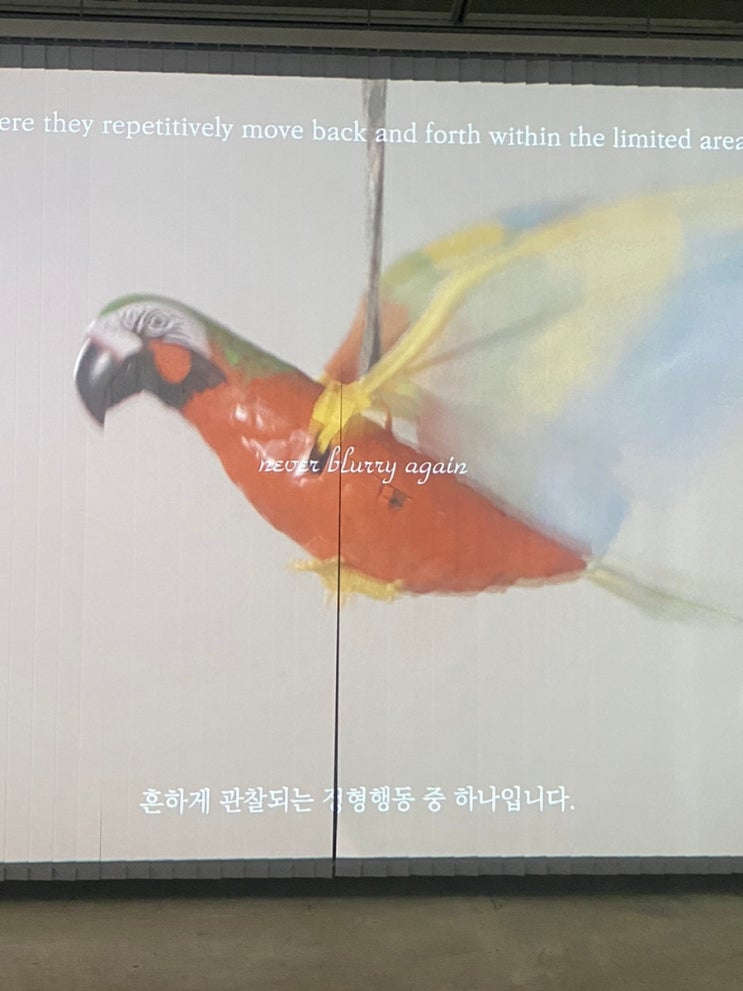 대전 전시 테미예술창작센터 스크리닝/타임라인프로젝트 무슨 생각으로 내리시나요? : 네이버 블로그