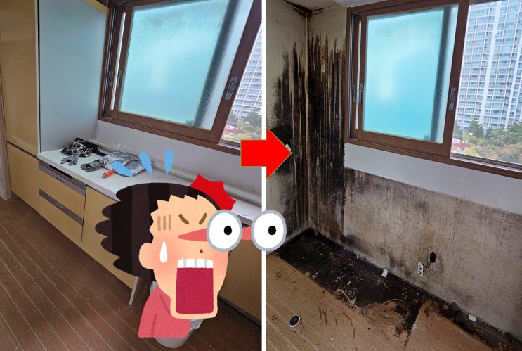 단열 누락 베란다에 세탁기 가구 설치하면 경기도 고양시 일산 풍동 숲속마을 아파트 베란다 곰팡이 제거 결로 곰팡이 방지