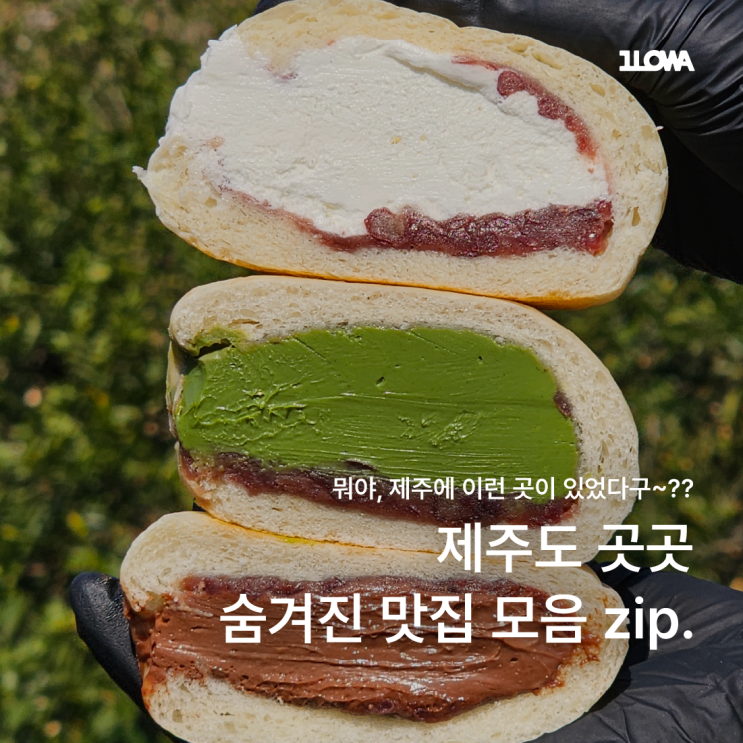 제주도 찐 맛집을 찾아서 제주도 곳곳 숨겨진 맛집 모음 네이버 블로그