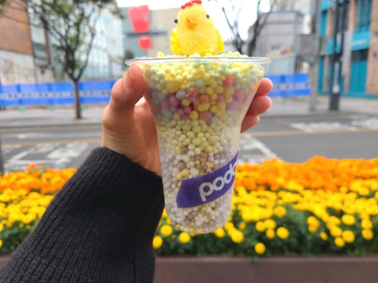 대구 동성로 구슬아이스크림 포도도 pododo, 감격을 먹는다 : 네이버 블로그