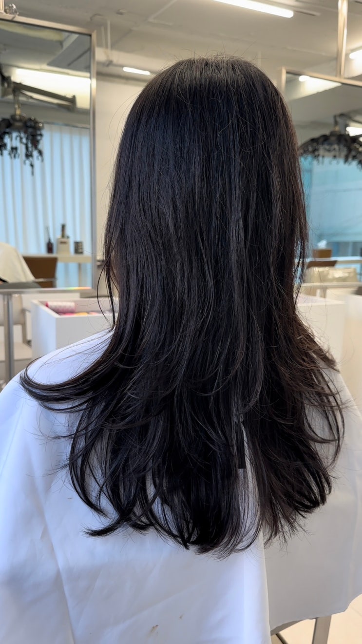 2023 가을헤어로 딱인 긴머리 레이어드컷 C컬펌은 서초역 미용실 마네르 서초포레점 마루쌤 네이버 블로그