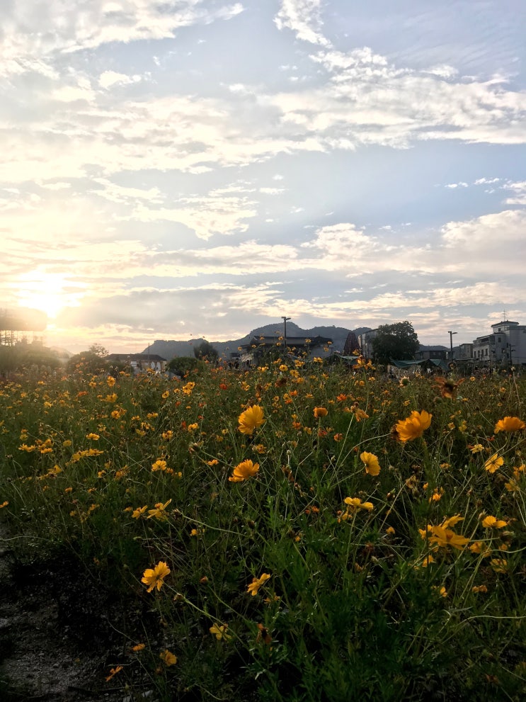 [English Diary] The reason why I like autumn? (내가 가을을 좋아하는이유?) : 네이버 블로그