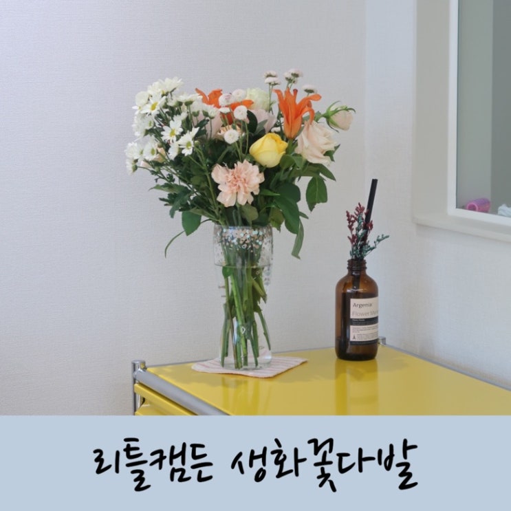 리틀캠든 생화꽃다발 당일발송 되는 꽃배달 : 네이버 블로그