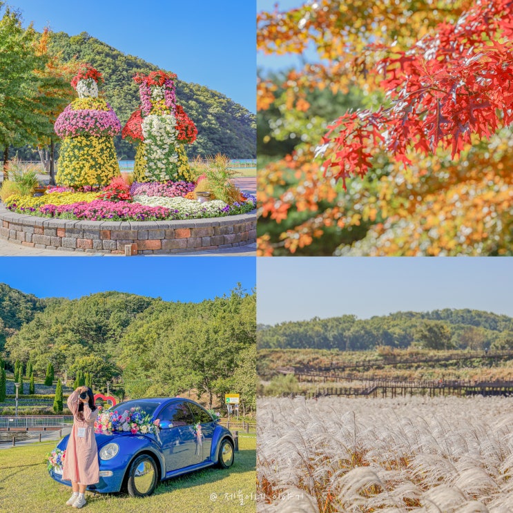 국내 가을 여행 당일치기 대구 달서생태관광 코스 네이버 블로그