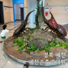 예천곤충생태원 경북 어린이 체험 가볼만한 곳 실내박물관 네이버 블로그