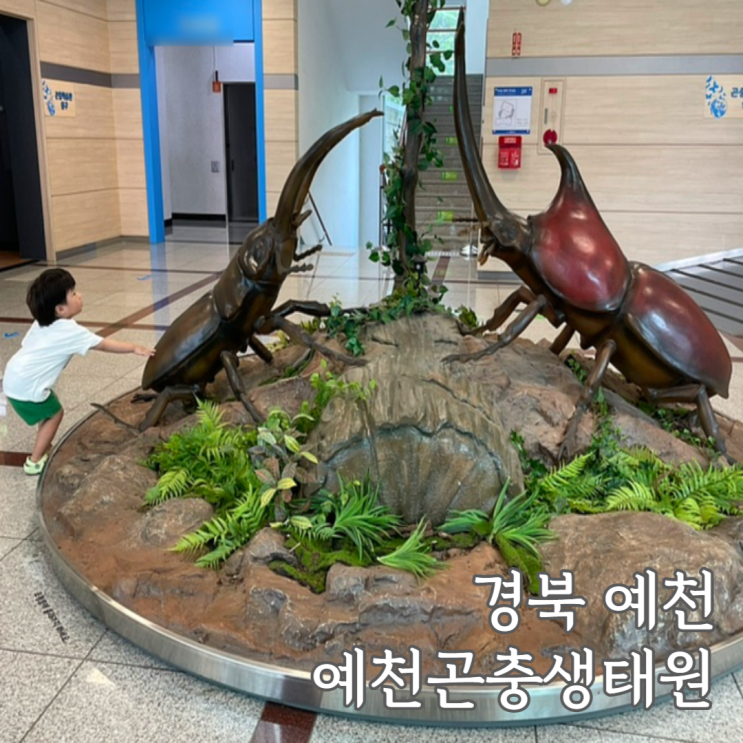예천곤충생태원 경북 어린이 체험 가볼만한 곳 실내박물관 네이버 블로그