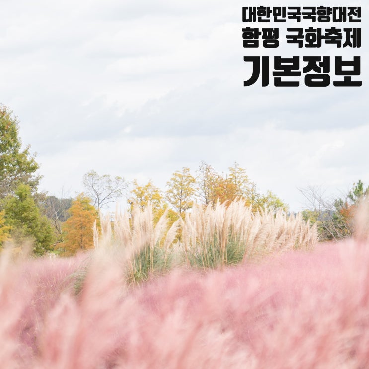 함평 국화축제 국향대전 기간 입장료 할인 및 행사정보 네이버 블로그