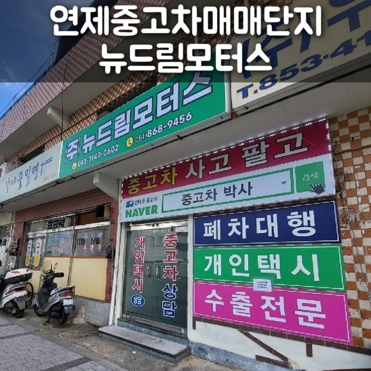 부산 중고차 연제중고차매매단지 뉴드림모터스 중고차 시세 보고왔어요 네이버 블로그