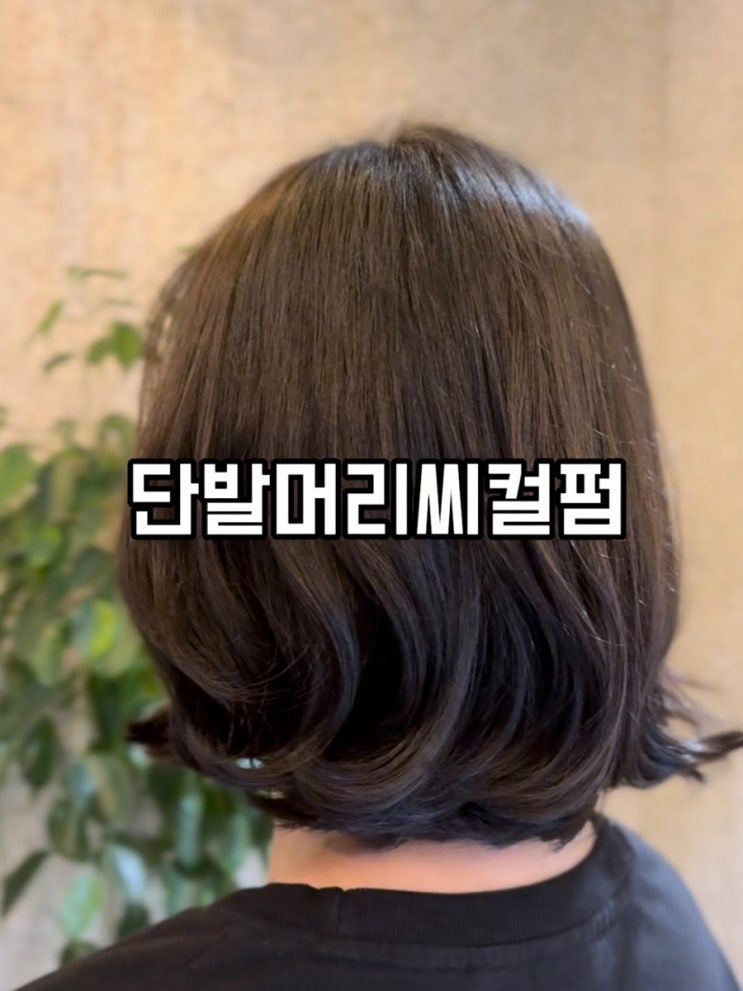 서울대입구미용실 단발커트 단발머리펌 단발머리스타일 단발에스컬펌 단발씨컬펌 준오헤어서울대입구역점 퍼스널염색긴머리펌전문이슬실장