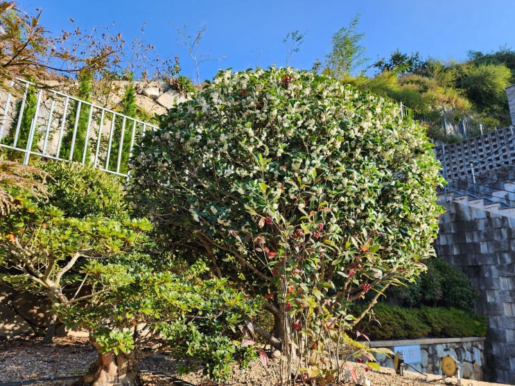 창원풀빌라, 금샘풀빌라펜션에서의 힐링 : 네이버 블로그