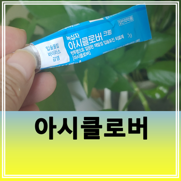 아시클로버 연고입술포진 헤르페스바이러스 대상포진 치료 약국 가격 네이버 블로그