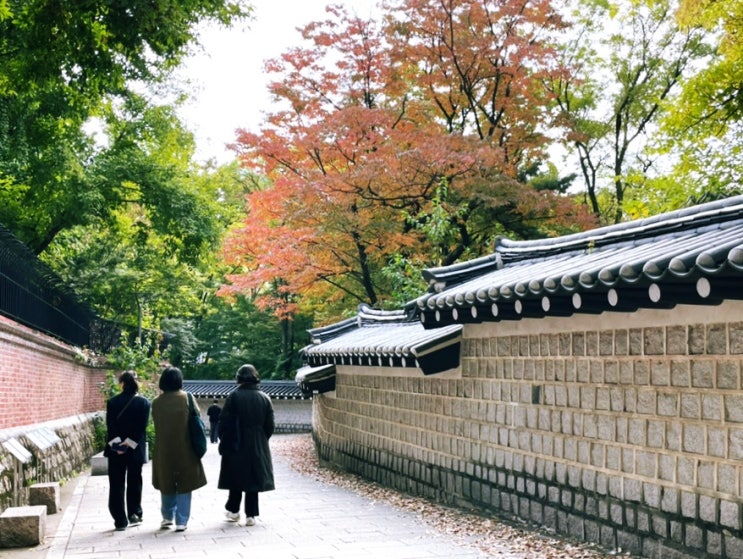서울 단풍구경 명소환상적인 덕수궁 돌담길 여행지 추천 6곳 네이버 블로그