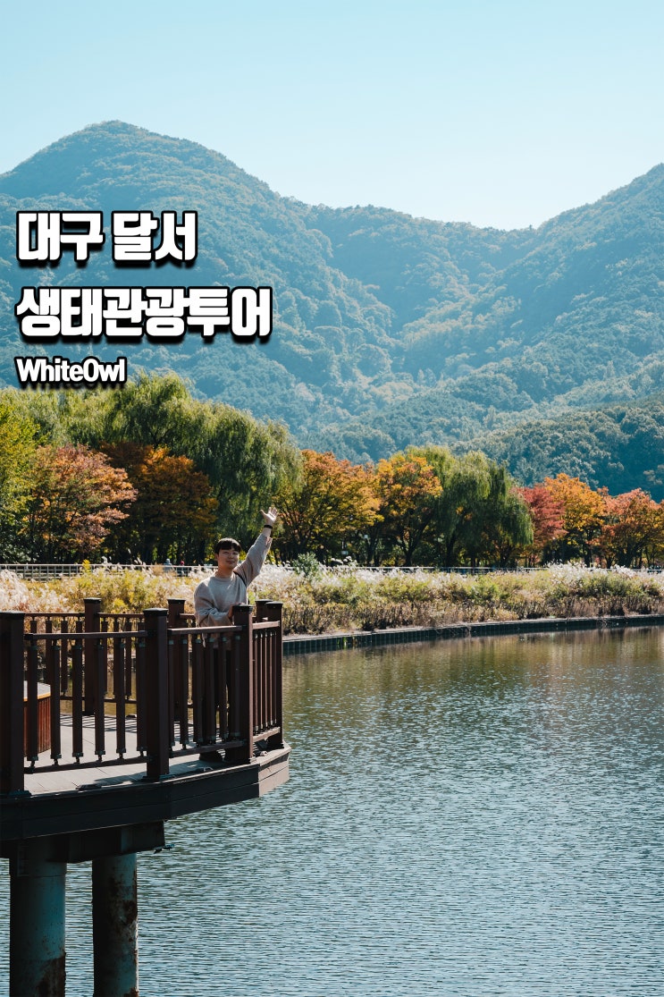 대구 달서 생태여행코스 대명저수지 맹꽁이생태공원 월광수변공원 등 가볼만한 곳 네이버 블로그
