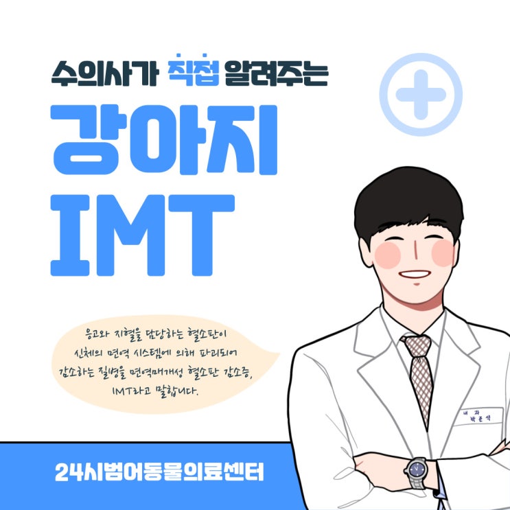 대구 피부 전문 동물병원 : 강아지 붉은 반점 / IMT 면역매개성 혈소판 감소증 증상과 치료방법은? : 네이버 블로그