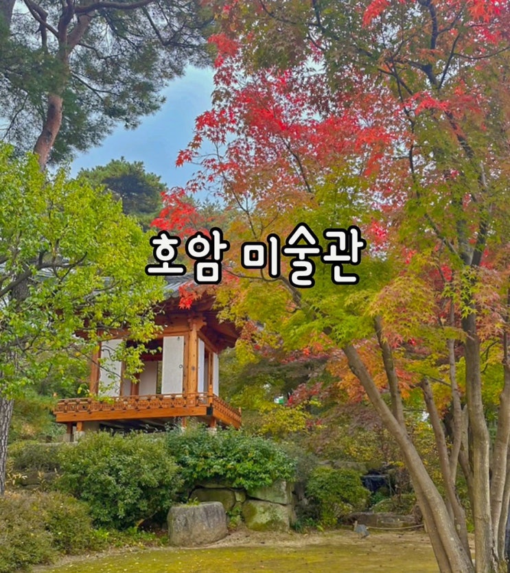용인호암미술관 단풍 희원 용인단풍명소 추천 평일 예약 네이버 블로그
