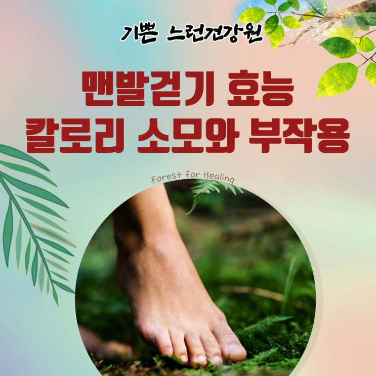 생로병사 맨발걷기 효능 칼로리 소모와 부작용은? : 네이버 블로그