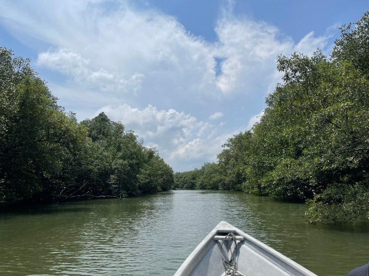 Eco Tourism 맹그로브 투어 : 네이버 블로그