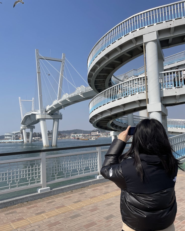 노스페이스 패딩 화이트라벨 노벨티 눕시 여성 라지 95 사이즈 착샷 네이버 블로그