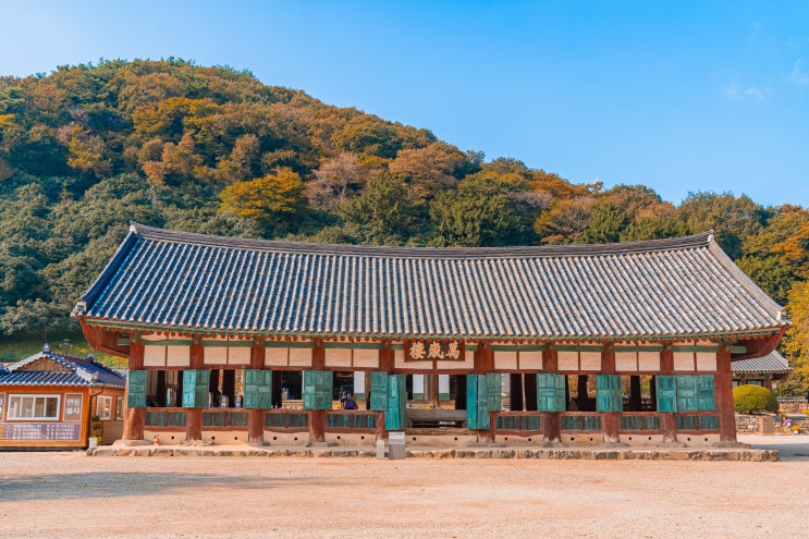 고창 선운사 입장료 선운산 도솔산 단풍까지 사시사철 좋은 전북 가볼만한곳 네이버 블로그