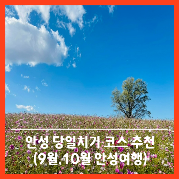 안성 당일치기 코스 안성 팜랜드 핑크뮬리 코스모스 축제 안성맞춤 천문과학관 안성 가볼만한곳 네이버 블로그