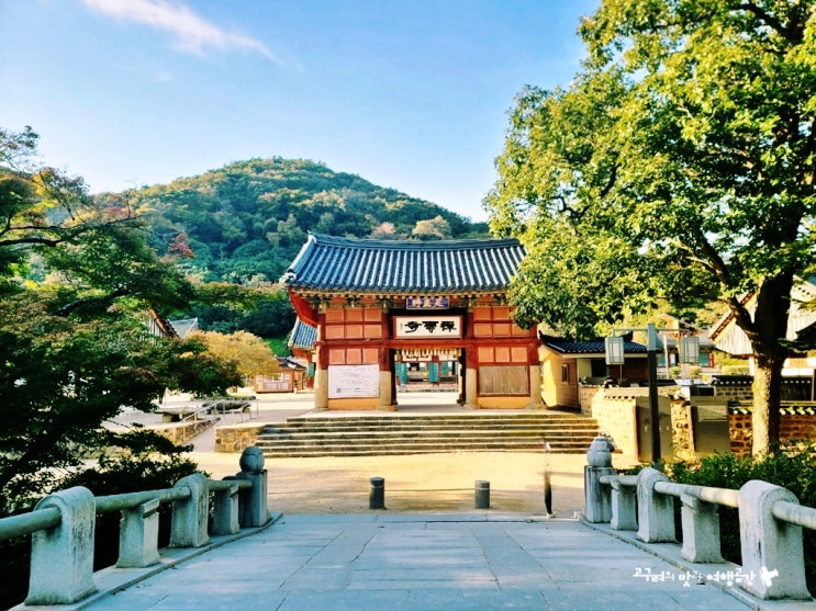 전북 고창 가볼만한곳 가을 여행 고창읍성 유명한절 선운사 코스 네이버 블로그