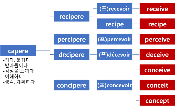 capere가 어원인 단어(1) : receive, recipe, perceive, deceive, conceive ...