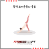 평촌피티인덕원피티안양피티 피트니스89 동적 코어운동의 종류 네이버 블로그