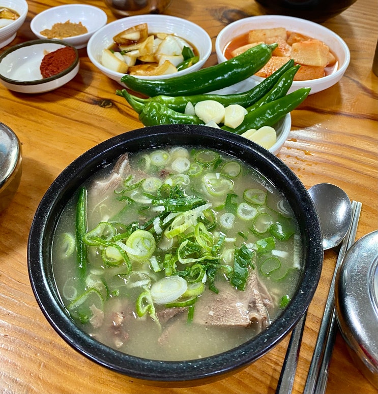 포항여행 1일차 포항맛집 장기식당 스페이스워크 어보브블루펜션 후기 네이버 블로그