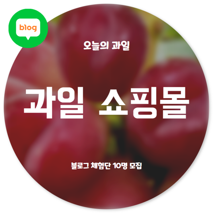 오늘의 배송 온 가족이 건강하고 맛있게 먹을 수 있는 오늘의 과일 쇼핑몰 리뷰어 모집 네이버 블로그