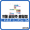 11월 공모주 청약 일정 대어주 에코프로머티리얼즈 모아보기 네이버 블로그