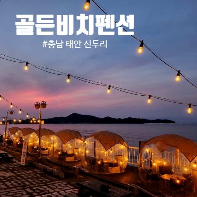 태안여행 해루질 신두리해수욕장 이글루돔바베큐 숙소추천 골든비치펜션 네이버 블로그