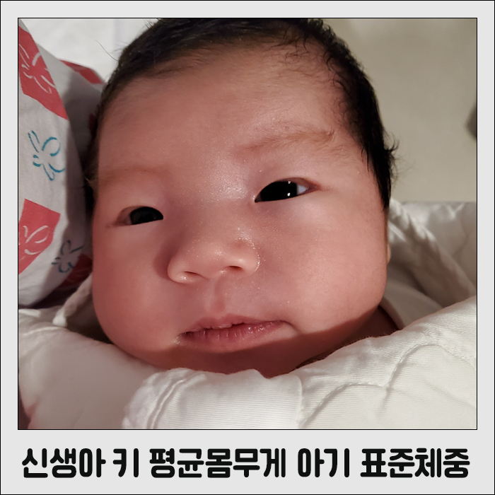 신생아 평균몸무게 아기 표준체중 키 신생아 표준 성장표 네이버 블로그