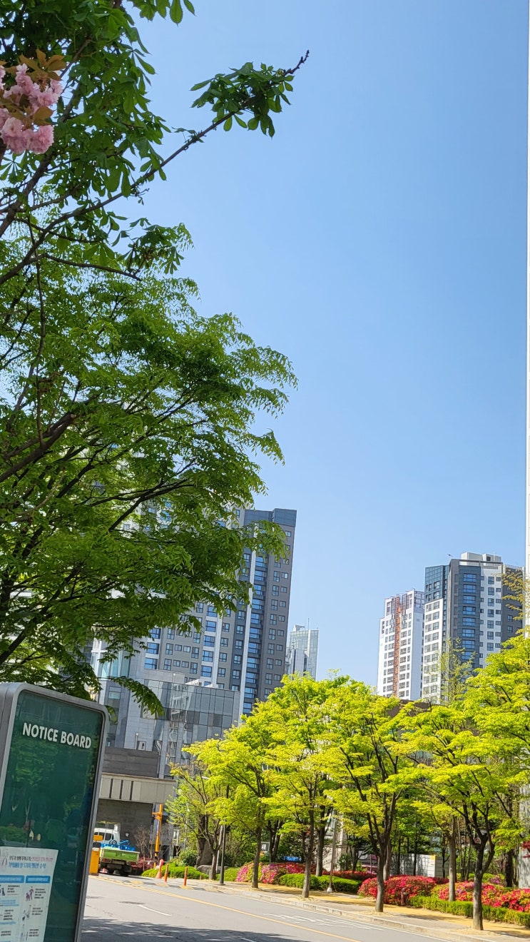 거래완료 과천 래미안슈르 33평 월세 과천아파트 재건축주공 급매 오피스텔 전월세매매 과천부동산시세 추천 급전세 상가 사무실