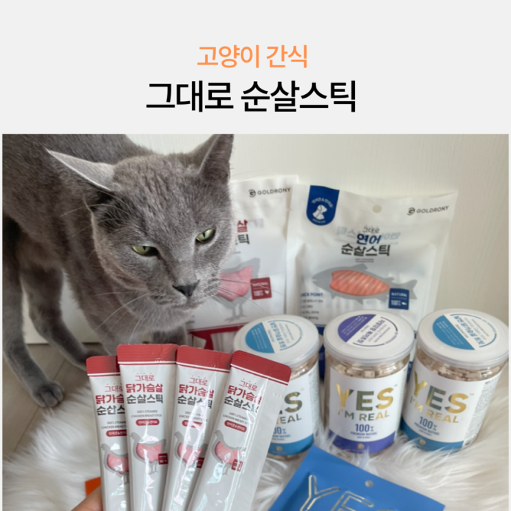 고양이간식 골드로니 그대로 순살스틱으로 음수량 채우기 닭가슴살연어 네이버 블로그