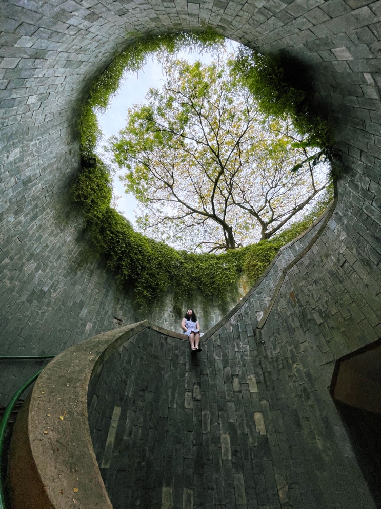 싱가포르 포트 캐닝 공원 산책 포토스팟 트리터널 Tree Tunnel 네이버 블로그