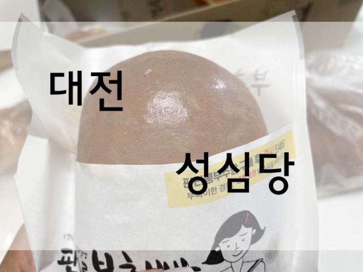 대전 성심당 본점 작은메아리 판타롱부추빵 튀김소보루 네이버 블로그